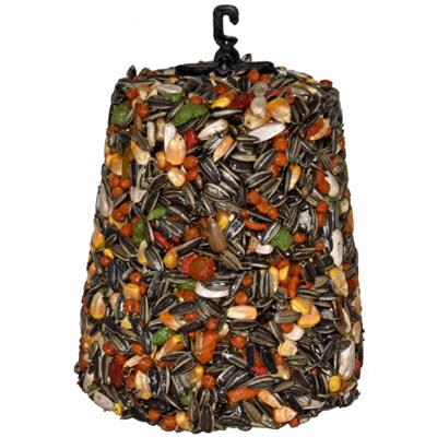 Daro Seed Bell Parrot Large | Mmaraka Ecommerce